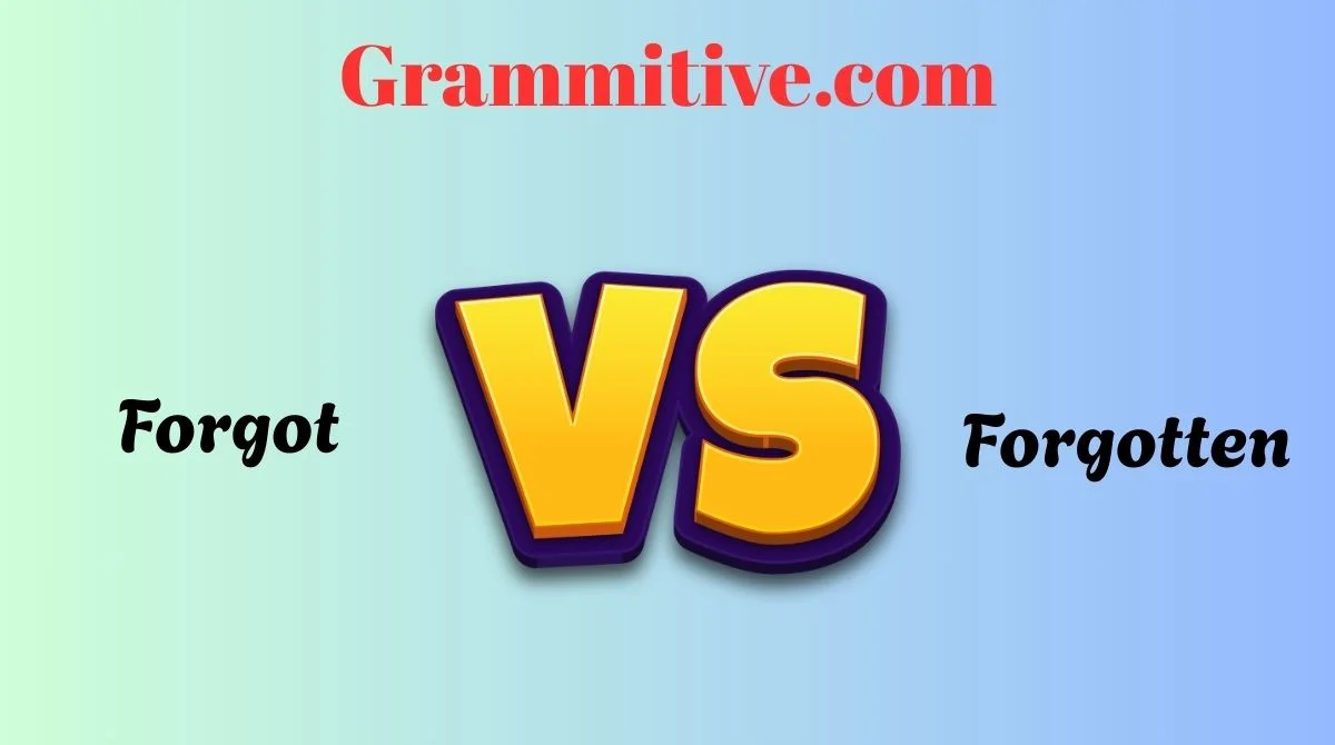 Forgot or Forgotten Easy Grammar Guide with Clear Examples (2026)