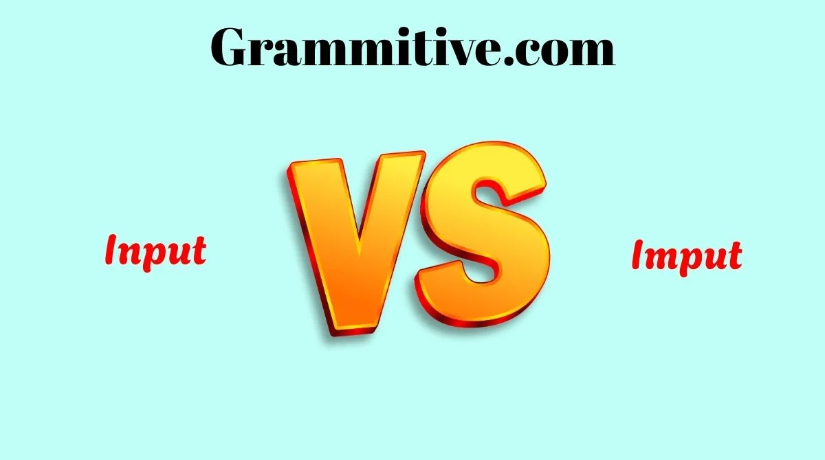 Input or Imput Understanding the Difference in English (2026)